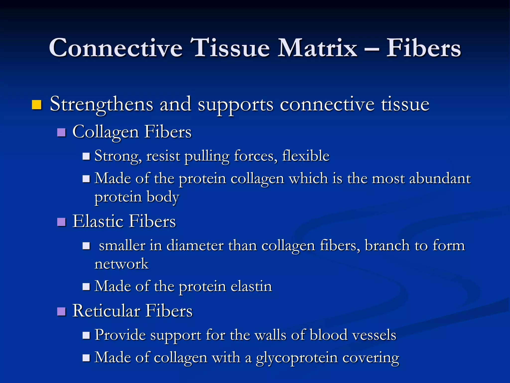 Connective Tissues.pptx