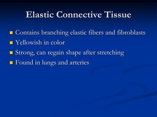 Connective Tissues.pptx