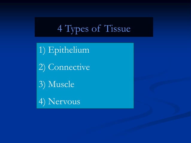 Connective Tissues.pptx