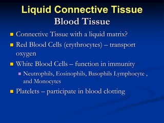 Connective Tissues.pptx