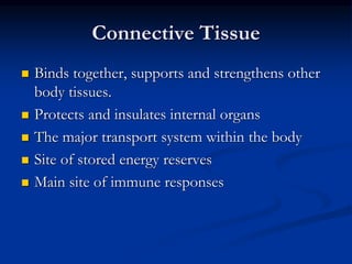 Connective Tissues.pptx