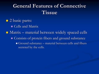 Connective Tissues.pptx