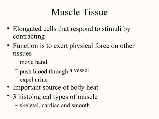 Histology of basic tissues (Connective tissues).pptx