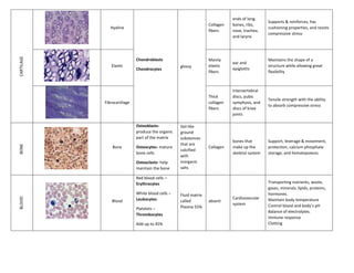 Connective Tissue Table.docx | Bone and Joint Conditions | Diseases and ...