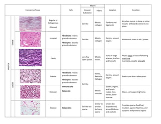Connective Tissue Chart