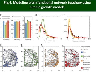 Connectomics_Journal Club | PDF