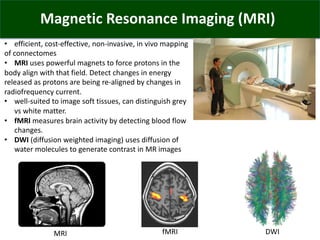 Connectomics_Journal Club | PDF