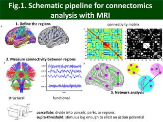 Connectomics_Journal Club | PDF