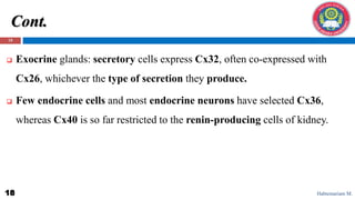 Connexins as Key Mediators of Endocrine Function.pptx