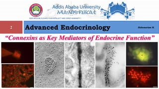 Connexins as Key Mediators of Endocrine Function.pptx