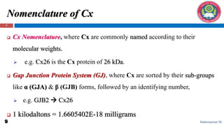 Connexins as Key Mediators of Endocrine Function.pptx