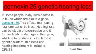 connexin 26 hearing loss gene | PPTX