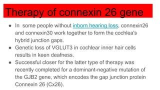 connexin 26 hearing loss gene | PPT