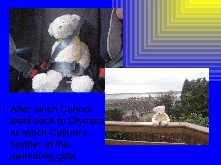 Connor Bear