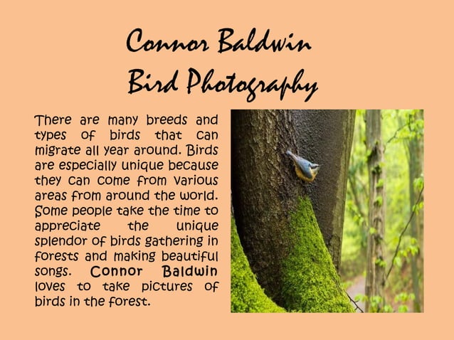 Connor Baldwin: Animal Lover | PPT