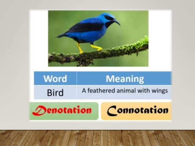 Connotation-and-Denotation-GROUP-13.pptx