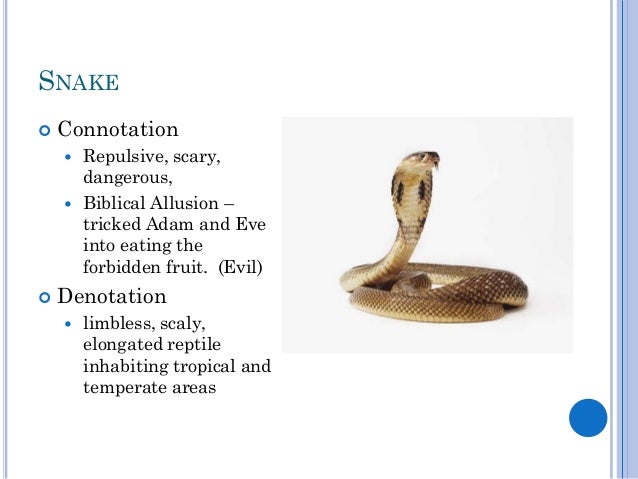 Connotation and Denotation of mages