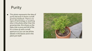 Connotations photos | PPT