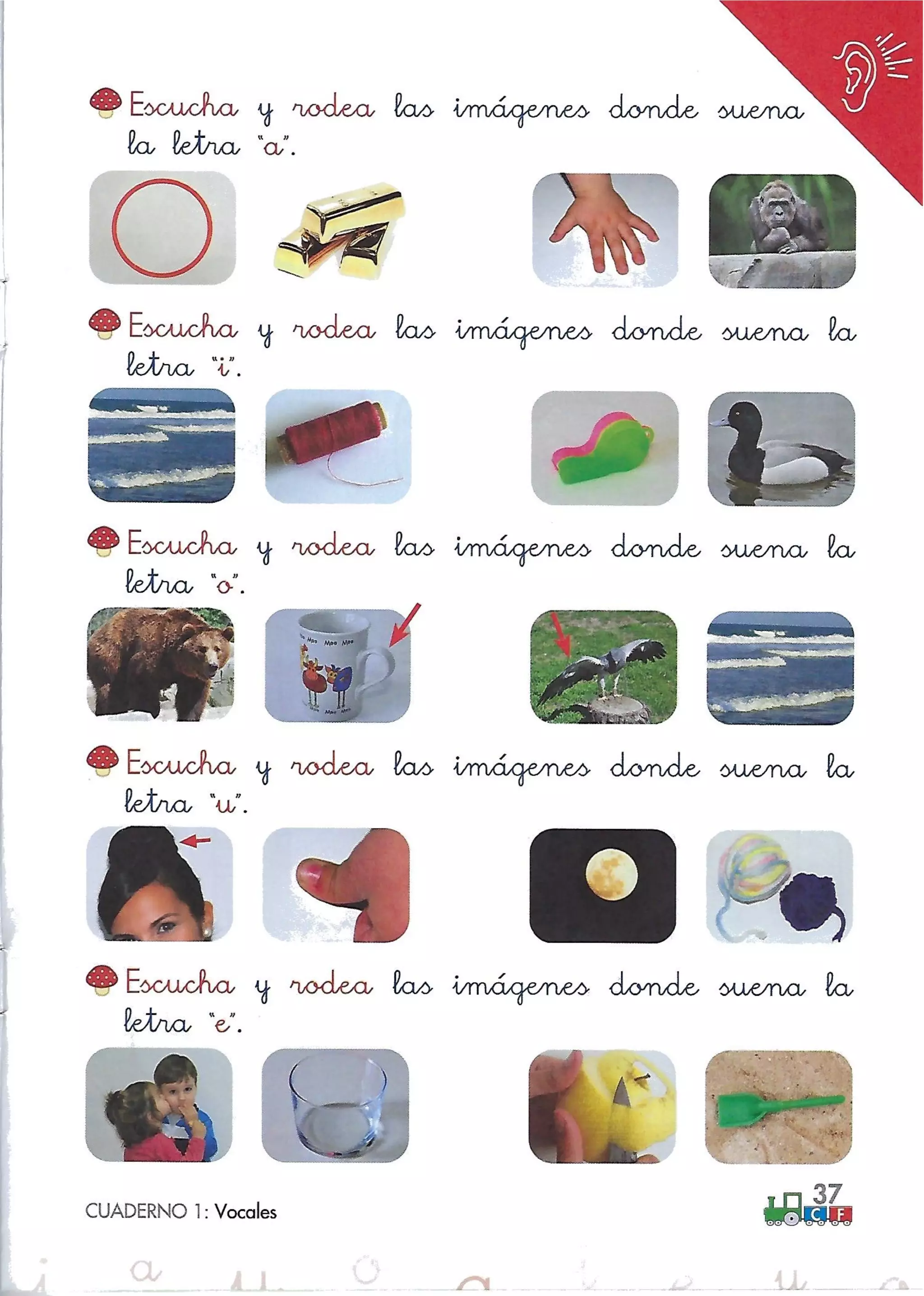 CONO - FONOS 1.pdf