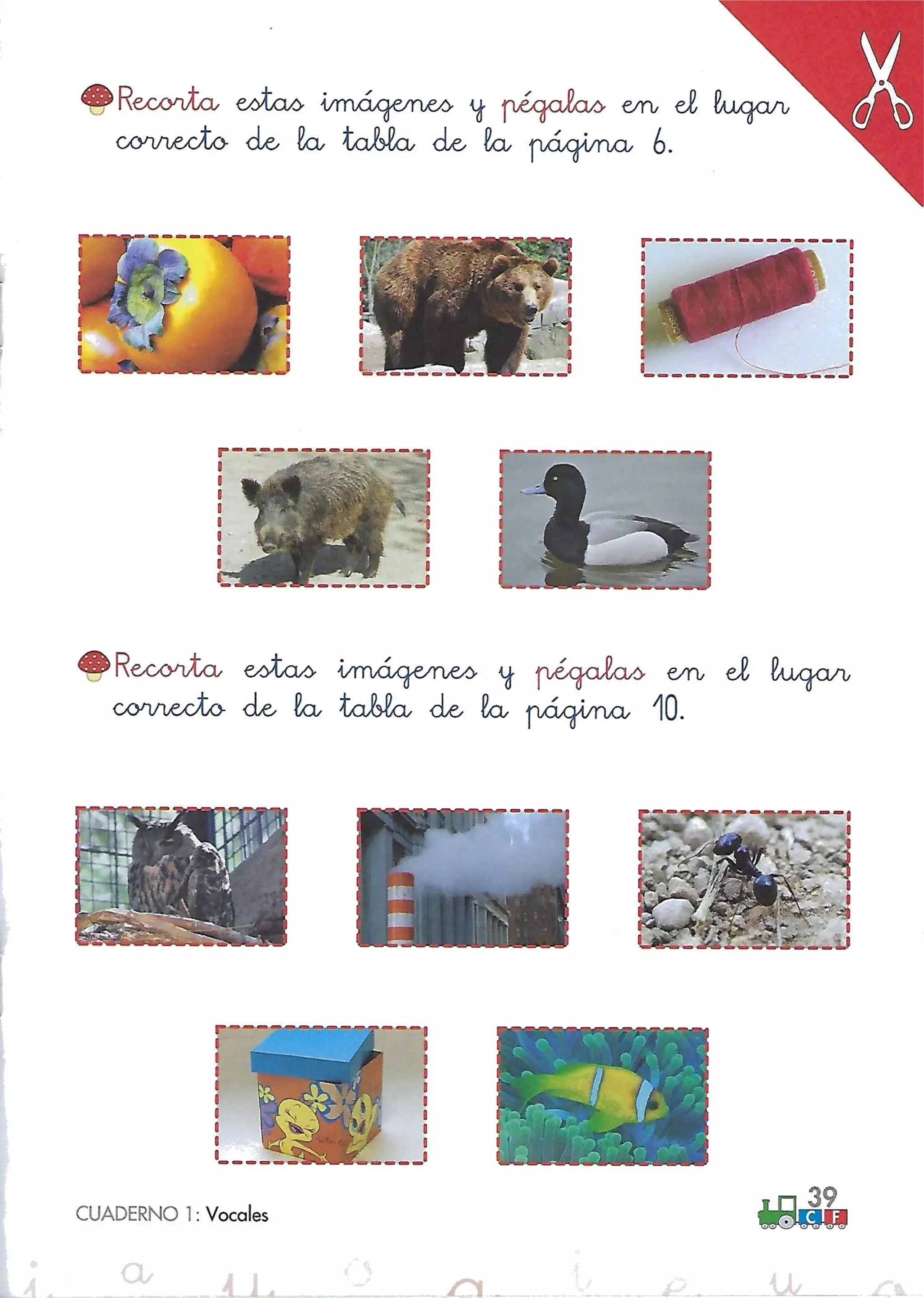 CONO - FONOS 1.pdf