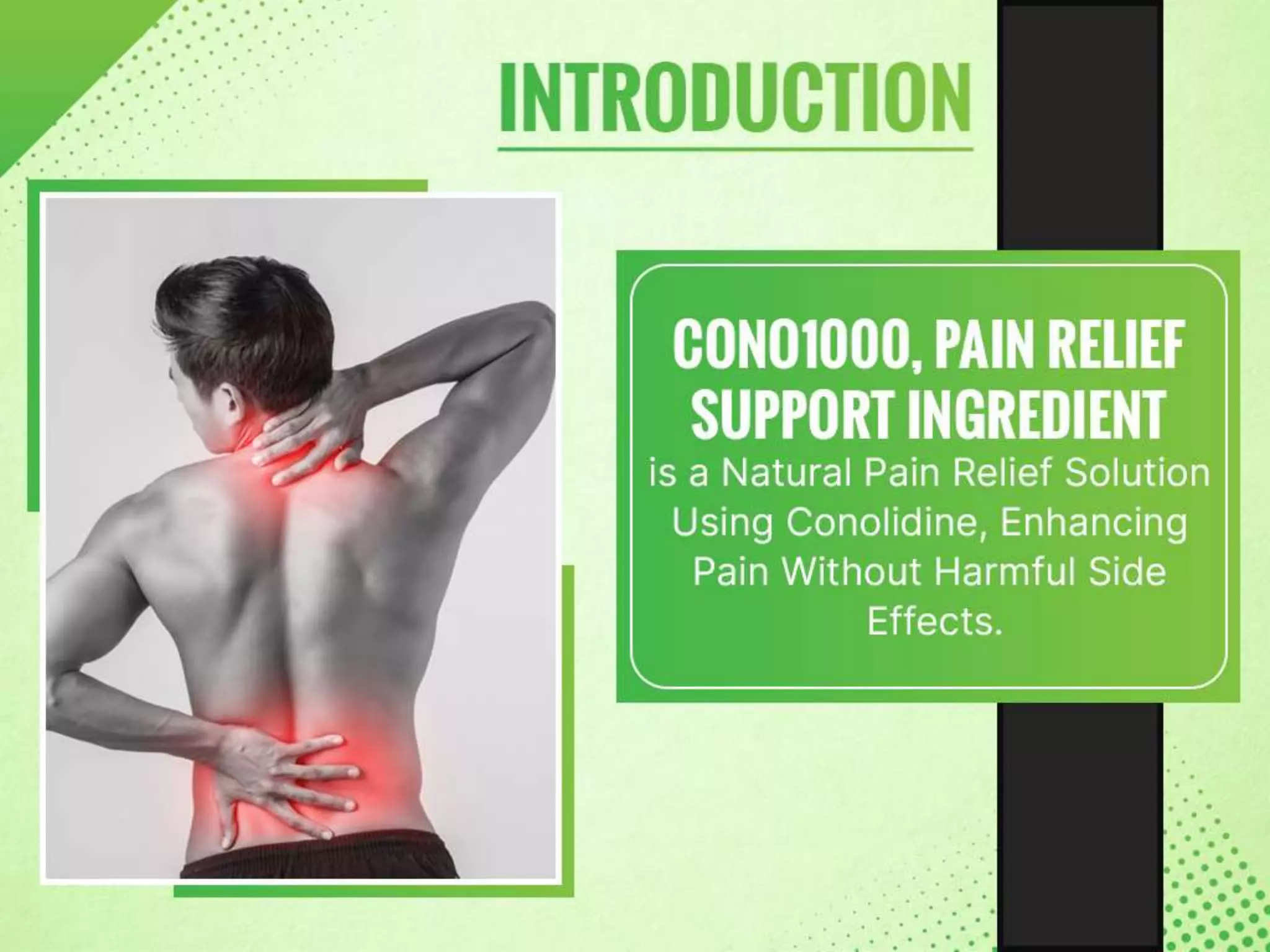 CONO1000 - A Natural Pain Relief Support Ingredient | PPT