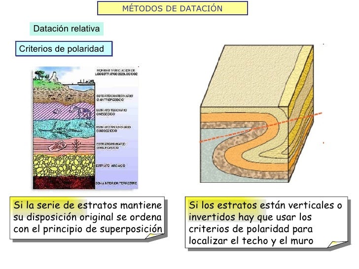 Datacion Relativa Se Basa En - Descargar Manual