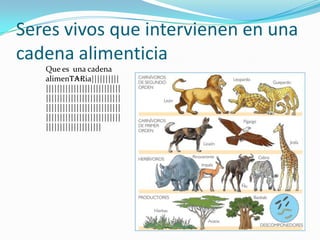 una cadena alimenticia | PPSX | Food Movements | Food & Drink