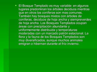Conociendo Los Ecosistemas | PPT