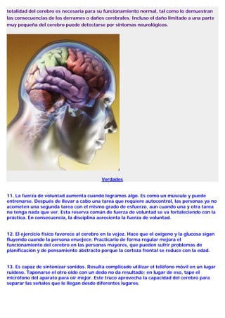 Conociendo el cerebro | PDF