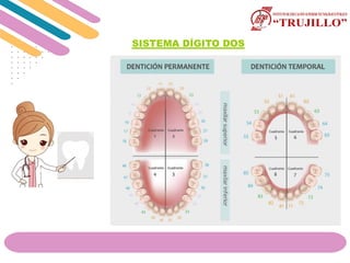 CONOCIENDO EL ODONTOGRAMA asi salud bucal | PPTX
