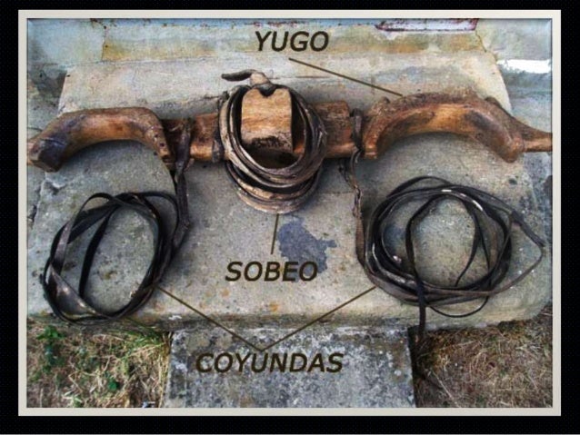 EL YUGO EN LA VIDA DEL CREYENTE