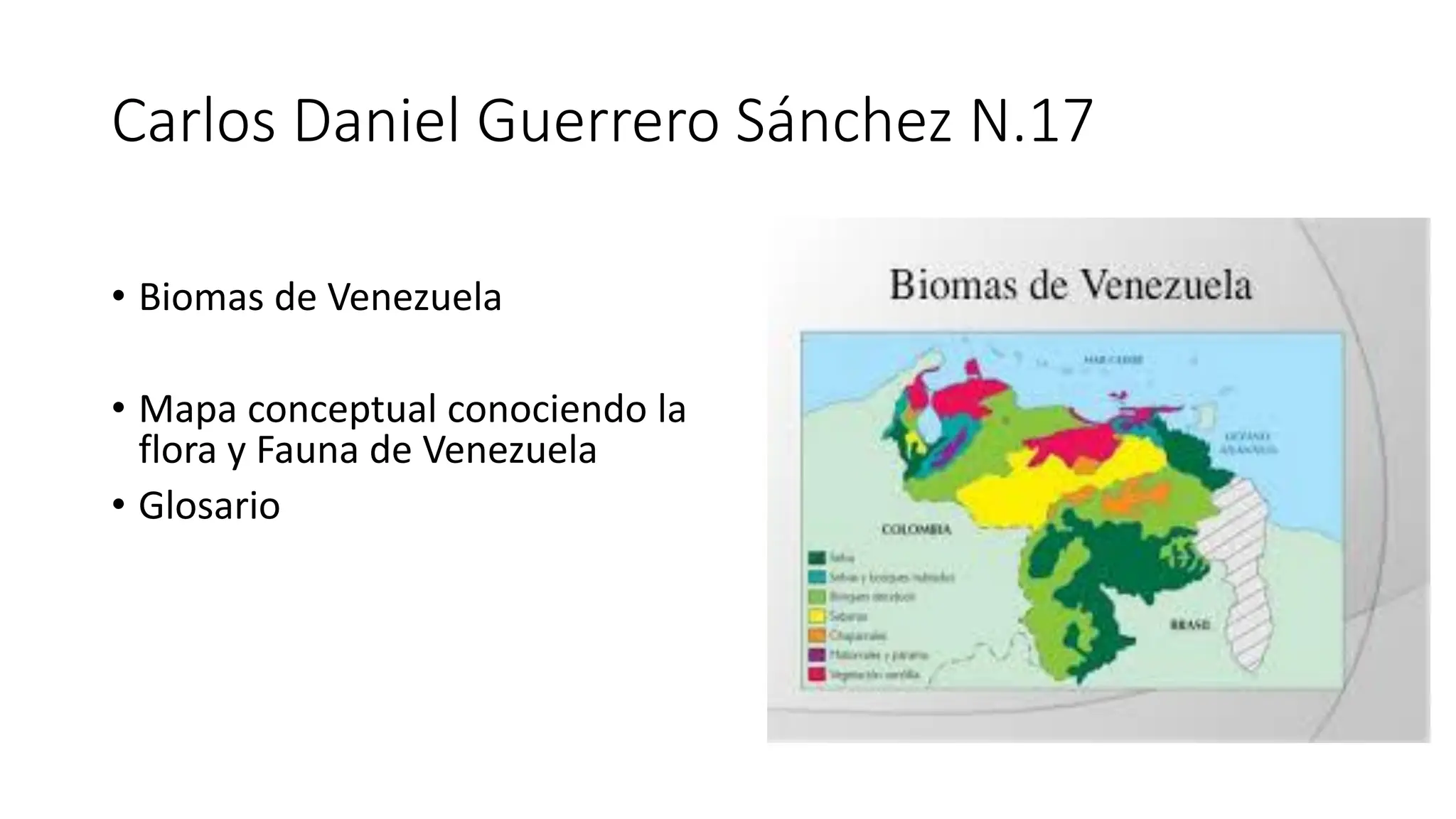 Conociendo flora y fauna venezolana mediante mapa mental | PDF