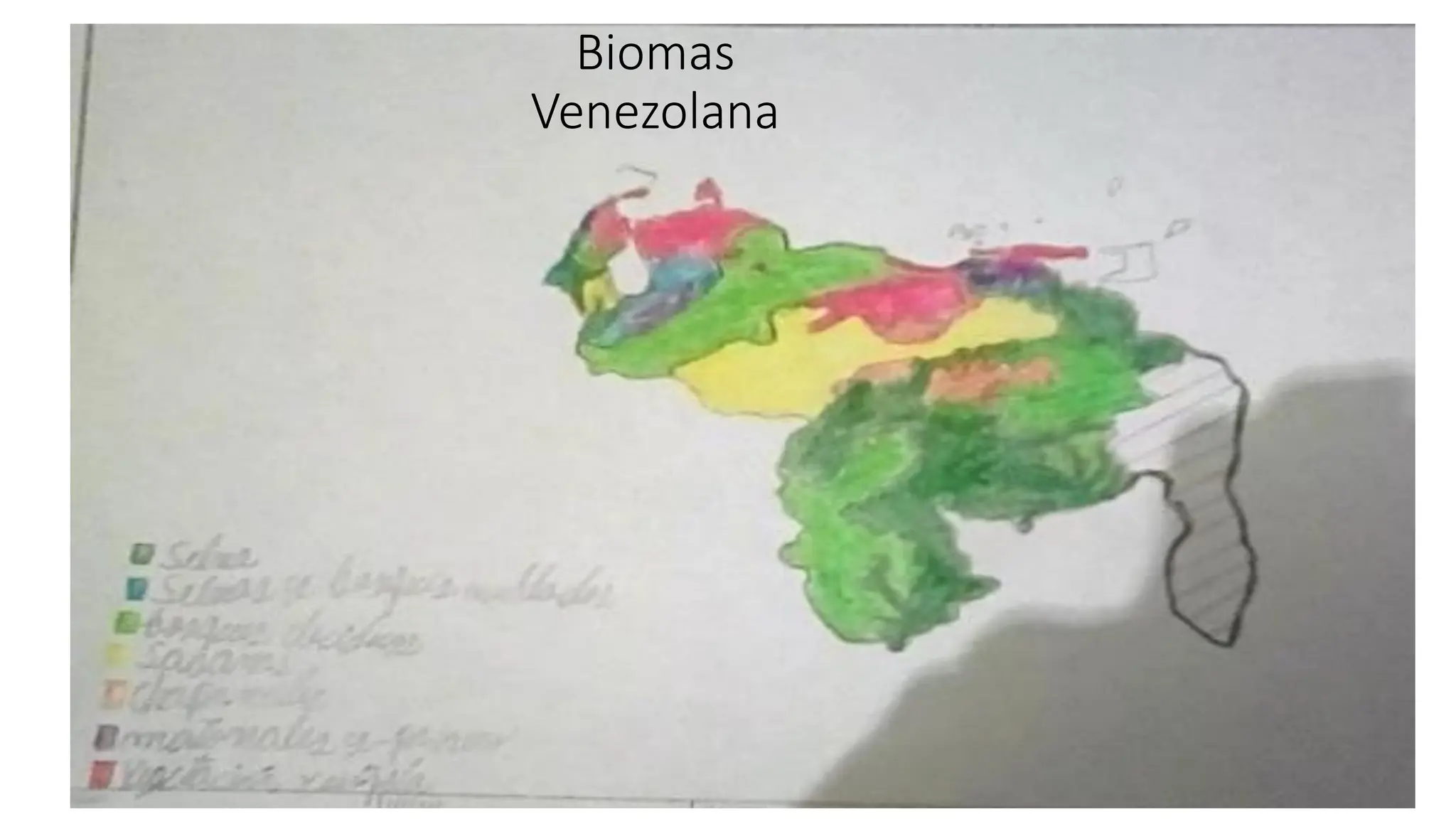 Conociendo flora y fauna venezolana mediante mapa mental | PPT