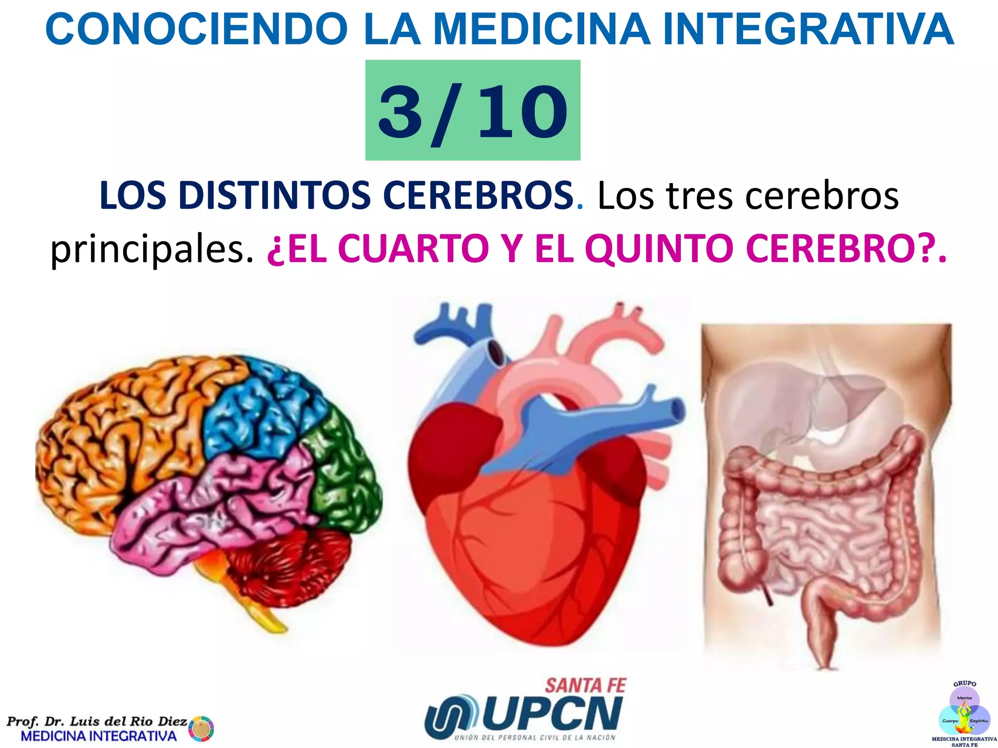 CONOCIENDO LOS DISTINTOS CEREBROS UNA MIRADA DESDE LA MEDICINA ...