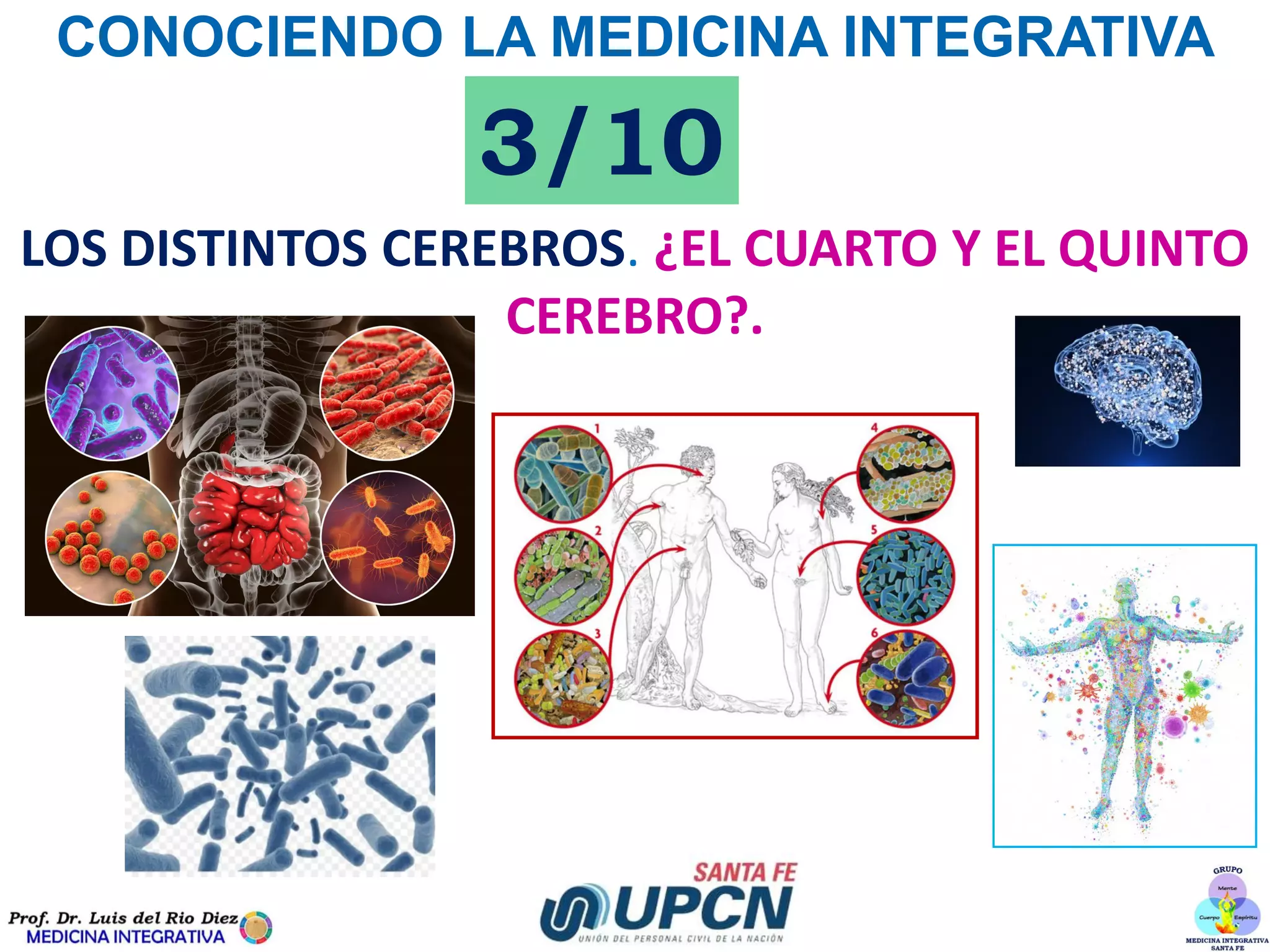 CONOCIENDO LOS DISTINTOS CEREBROS UNA MIRADA DESDE LA MEDICINA ...