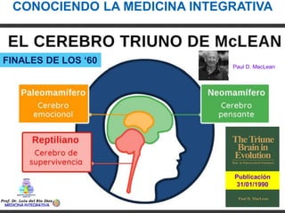 CONOCIENDO LOS DISTINTOS CEREBROS UNA MIRADA DESDE LA MEDICINA ...