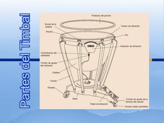 Conocimiento basico del timbal | PPSX