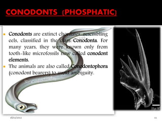 SIGNIFICANCE OF CONODONTS IN MICROFOSSIL HISTORY | PPTX