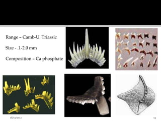 SIGNIFICANCE OF CONODONTS IN MICROFOSSIL HISTORY | PPTX