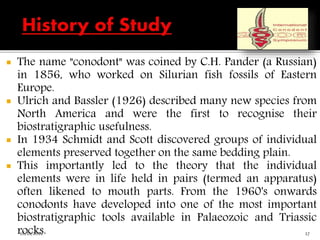 SIGNIFICANCE OF CONODONTS IN MICROFOSSIL HISTORY | PPTX