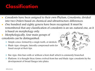 SIGNIFICANCE OF CONODONTS IN MICROFOSSIL HISTORY | PPTX