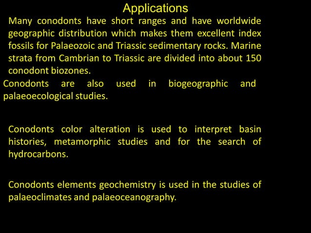 conodonts first discovery and introduction | PDF