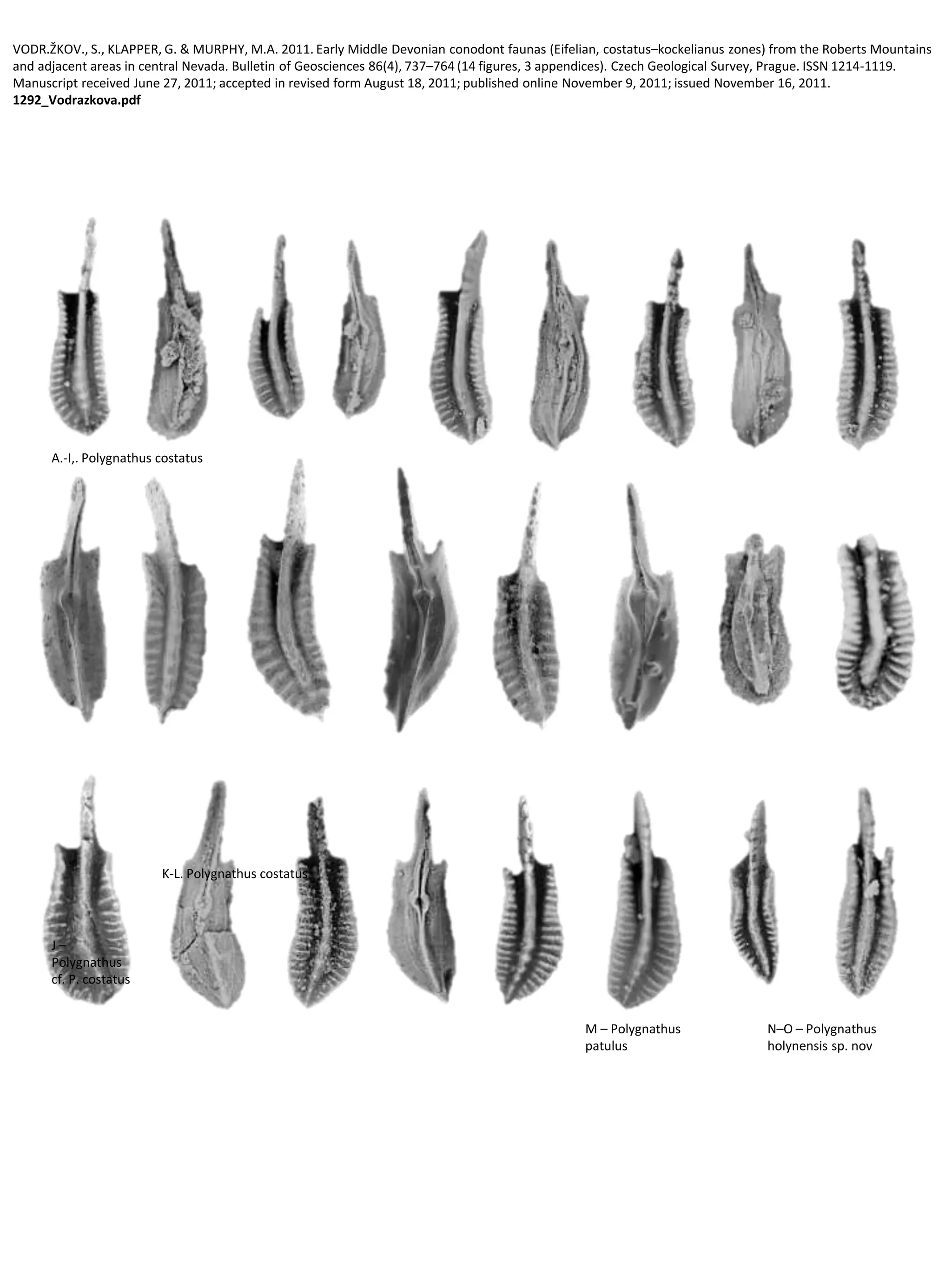 Conodont species | PPTX