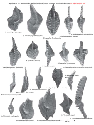 Conodont species | PPTX