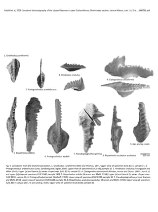 Conodont species | PPTX