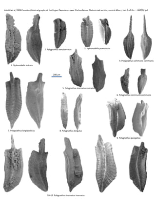 Conodont species | PPTX