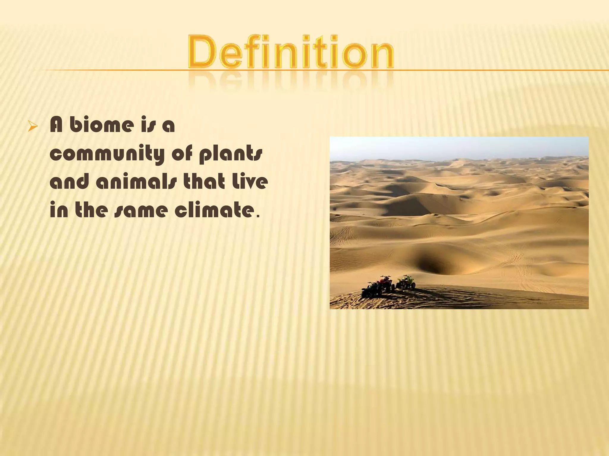 Conor and Trevor | PPT