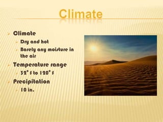 Conor and Trevor | PPT