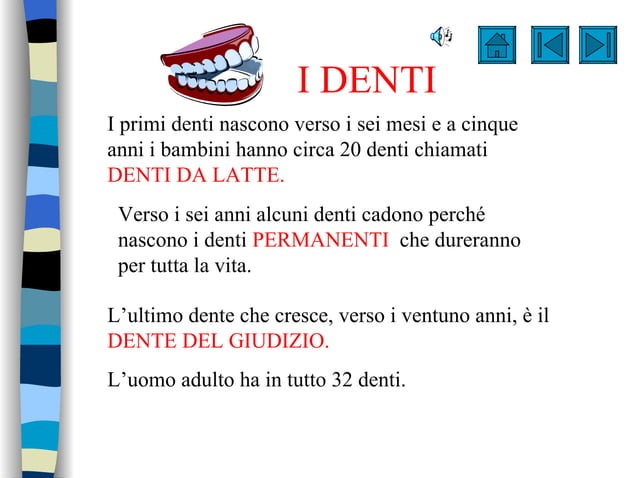 Conosco i miei denti | PPT | Oral care | Personal Care