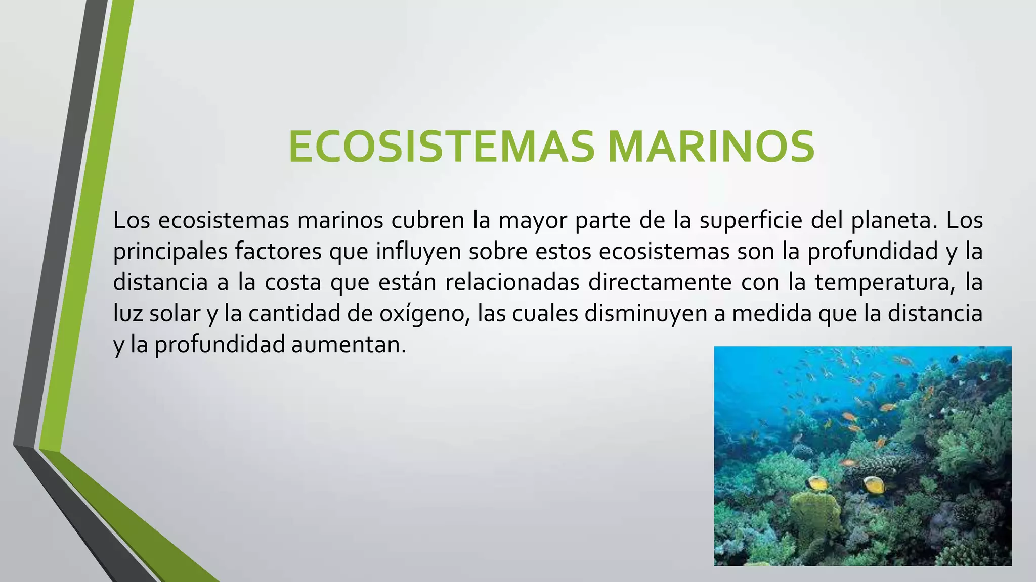 Conozcamos el ecosistema | PPTX | Geography | Science